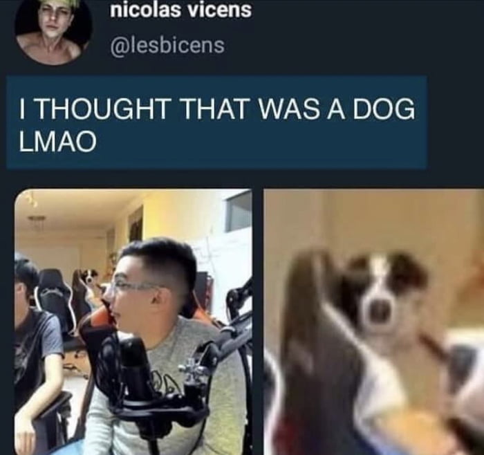 Me dog - 9GAG
