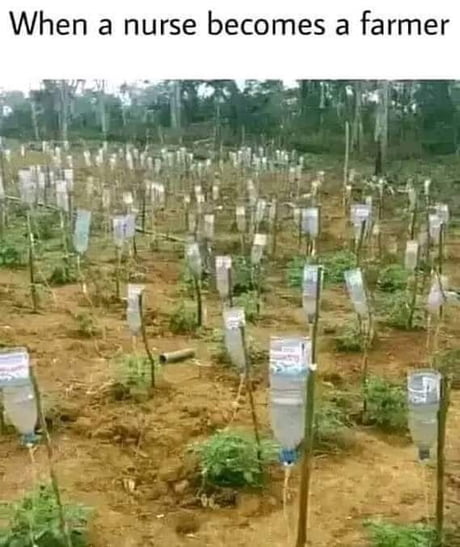 Best Funny farming Memes - 9GAG