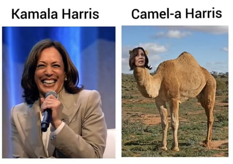 Best Funny camel toe Memes - 9GAG
