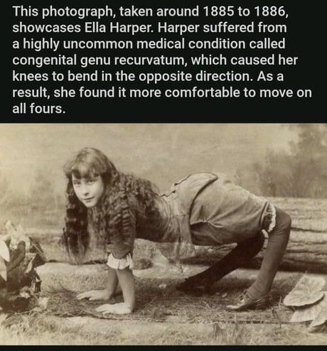 Best Funny reverse Memes - 9GAG