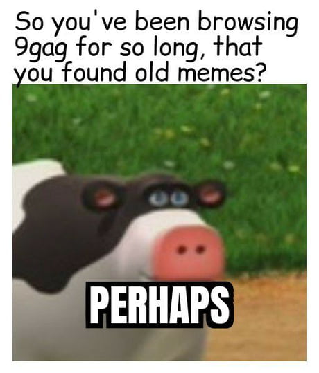 Best Funny perhaps Memes - 9GAG