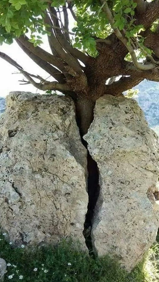 This is how Paper beats Rock - 9GAG