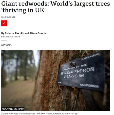 Best Funny tree Memes - 9GAG