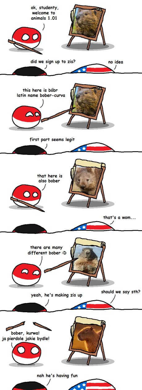 Best Funny countryball Memes - 9GAG