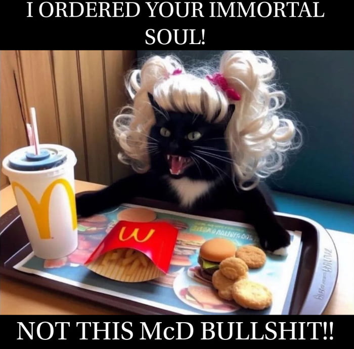 Funny title about cats being evil but cute - 9GAG