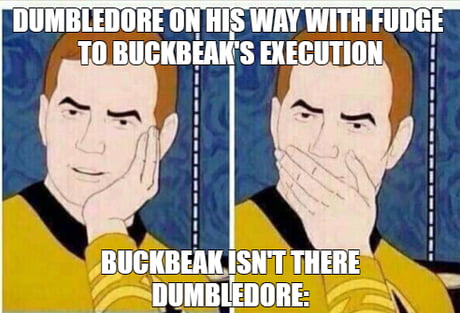 Time Turner Buckbeak Memes Afterwords: Why The Time Turners Are NOT A