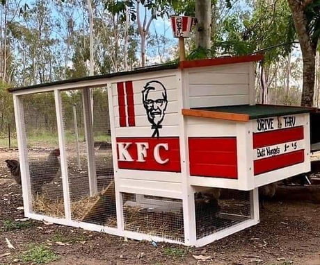 Best Funny chicken coop Memes - 9GAG