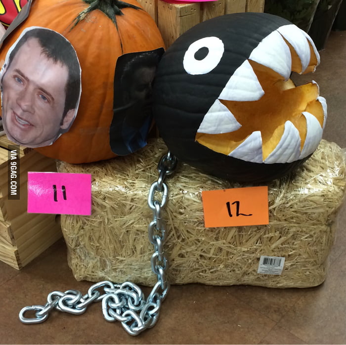 Nice pumpkin chain chomp - 9GAG