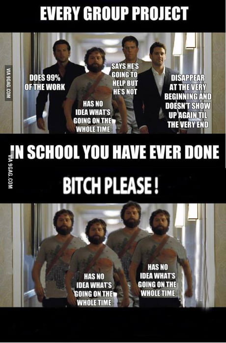 Team Project Memes When You Do Nothing In The Group Project | TikTok