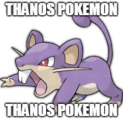 Rattata Meme