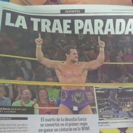 Memes Regios