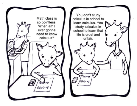 Funny Math Cartoons Calculus