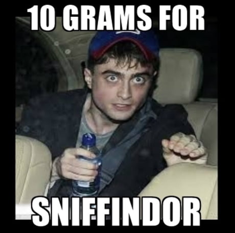 Snotter Memes Snorting GIFs | Tenor