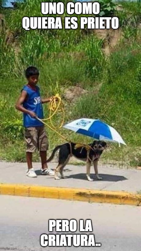 Memes De Prieto Señora Prieto Spanish Home