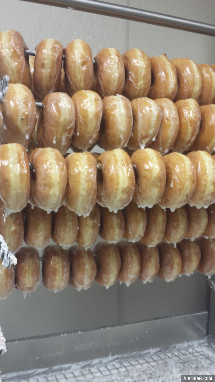 Honey Dip Donuts - 9GAG