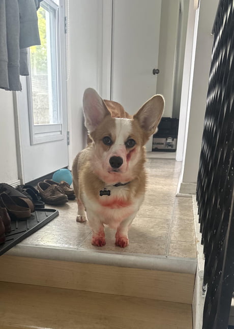 Best Funny caught Memes - 9GAG