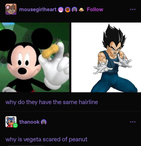 Mickey Maus Memes