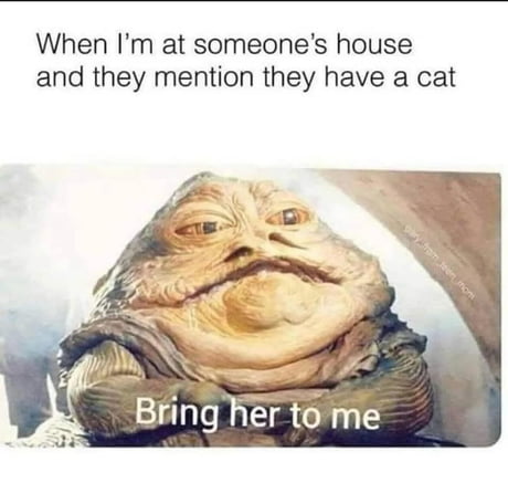 Best Funny visiting Memes - 9GAG