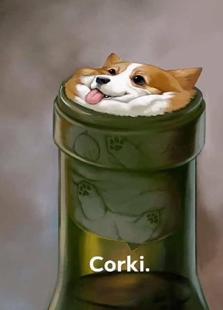 Cork Memes