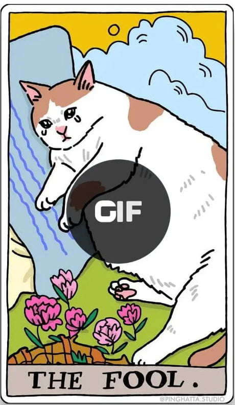 Best Funny fool Memes - 9GAG