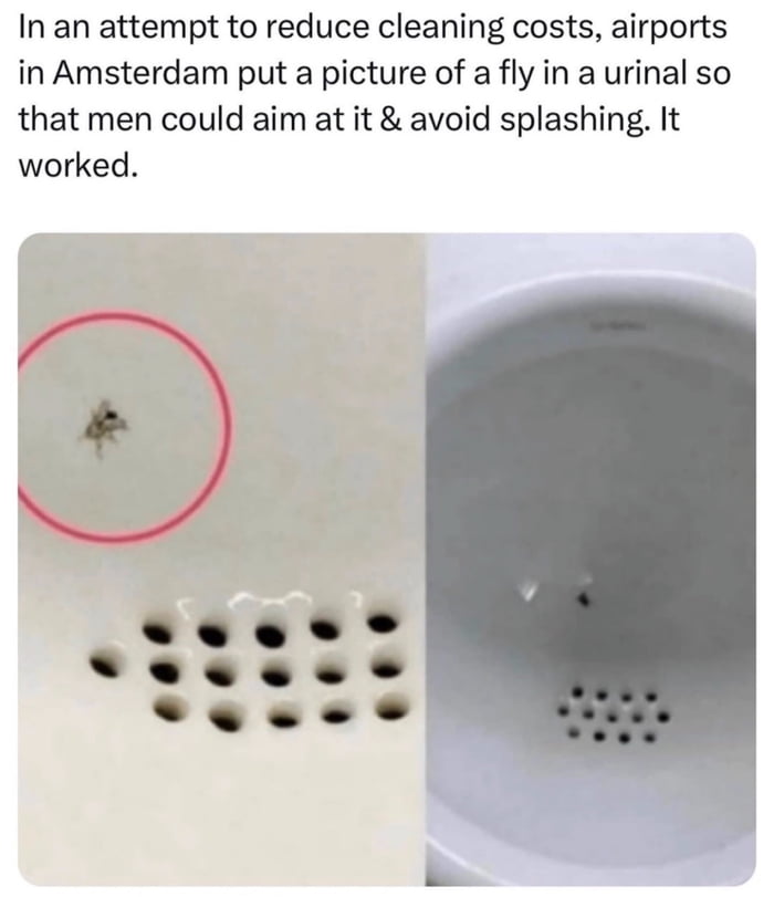 When aiming for cleanliness, there's more to it than meets the fly - 9GAG