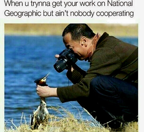 Best Funny camera Memes - 9GAG