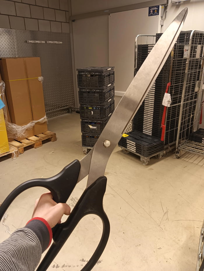 Of a scissors "Absolute Units" - 9GAG