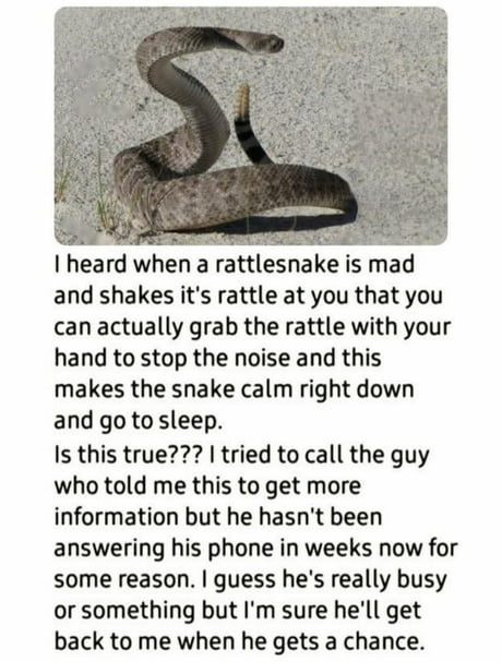 Best Funny danger noodle Memes - 9GAG