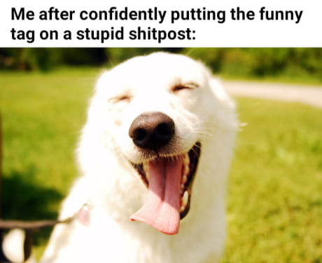 Best Funny shitpost Memes - 9GAG