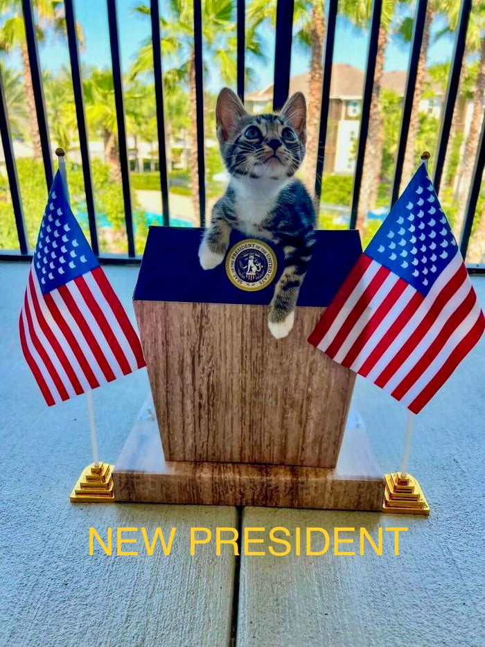 After Biden's resignation - 9GAG