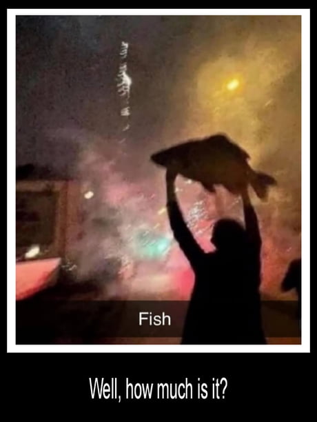 Best Funny scooter Memes - 9GAG