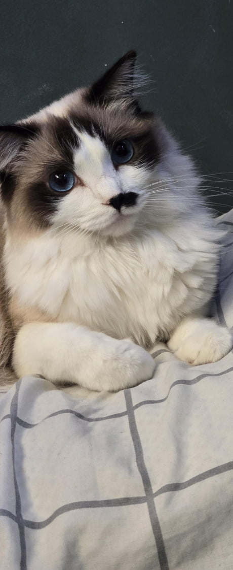 Best Funny aww Memes - 9GAG