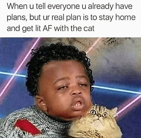 Funny Get High Memes 31 Funny Weed Memes And High Quotes For 4 20