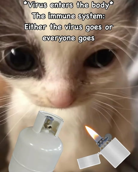 Inmune Memes Undefined