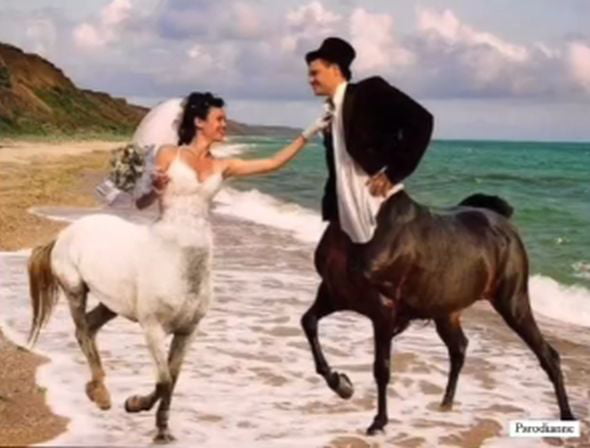 This could be us but neither you nor I are centaurs - 9GAG