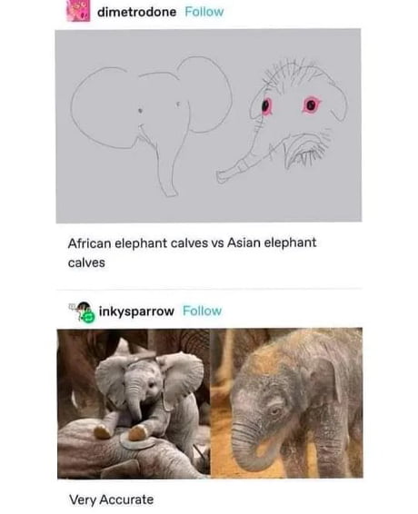 Best Funny elephant Memes - 9GAG