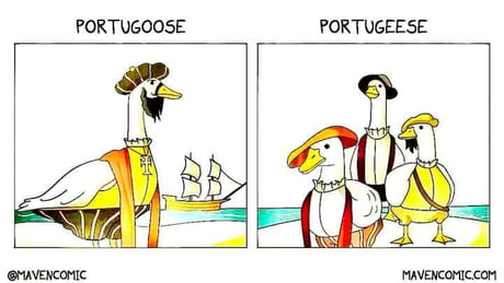 Best Funny goose Memes - 9GAG