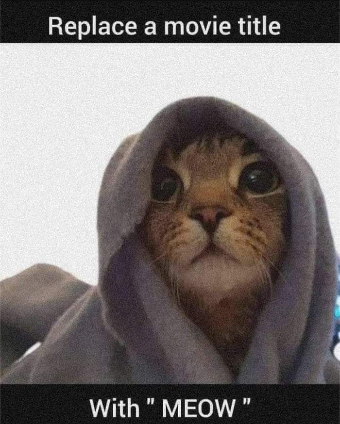 Harry Potter and the deathly meow - 9GAG