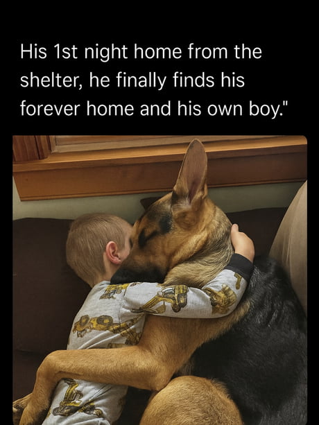 Funny Rescue Memes