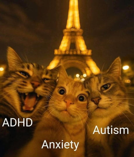 Best Funny paris Memes - 9GAG