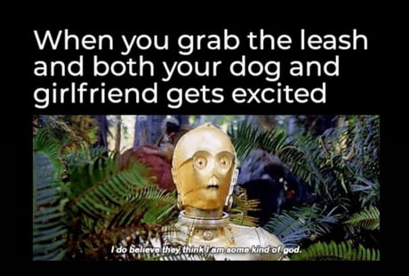 Tgwtg Kink Memes