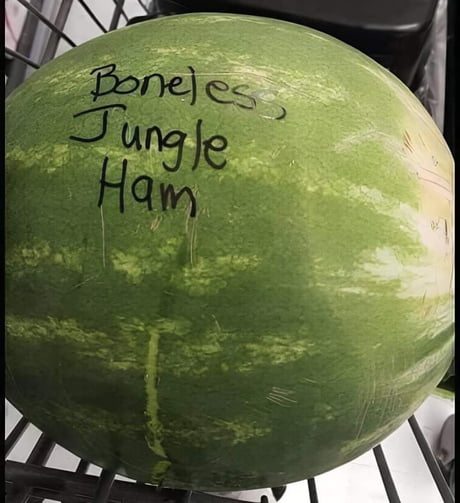 Best Funny watermelon Memes - 9GAG