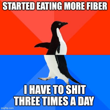 Best Funny fiber Memes - 9GAG