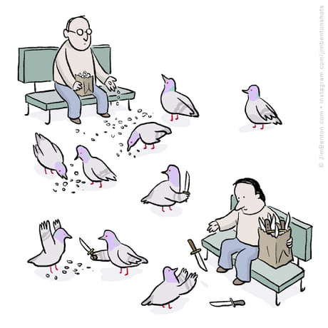 Best Funny pigeon Memes - 9GAG