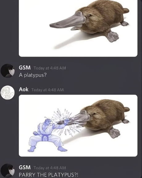 Perry Platypus Memes Randy Crenshaw Perry The Platypus Theme (From