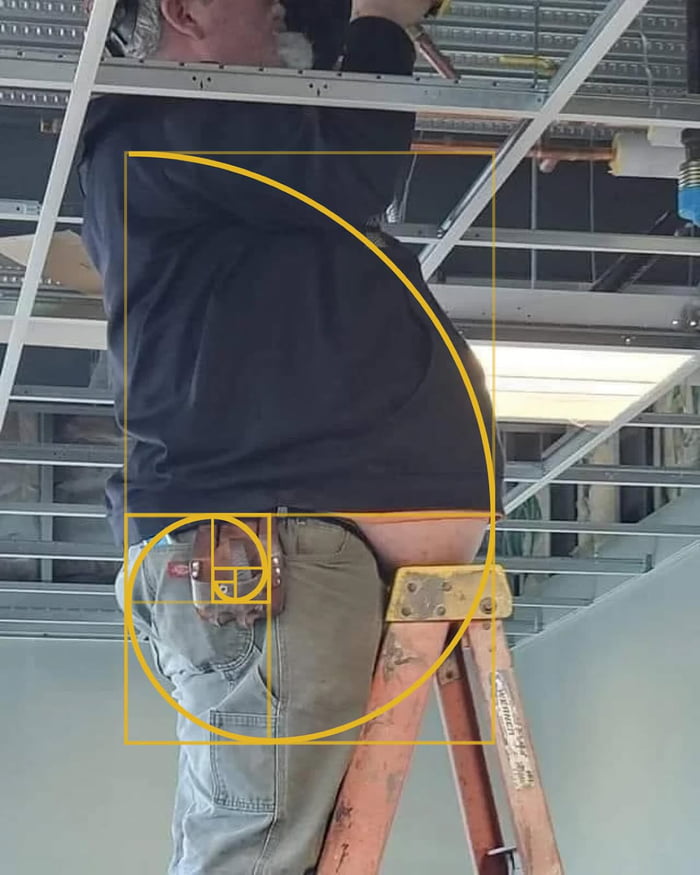 The Golden Gut - 9GAG