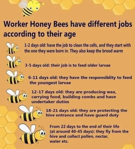 Best Funny ecology Memes - 9GAG