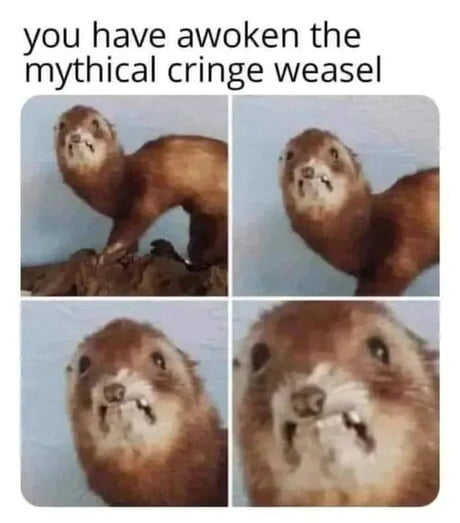 Best Funny weasel Memes - 9GAG