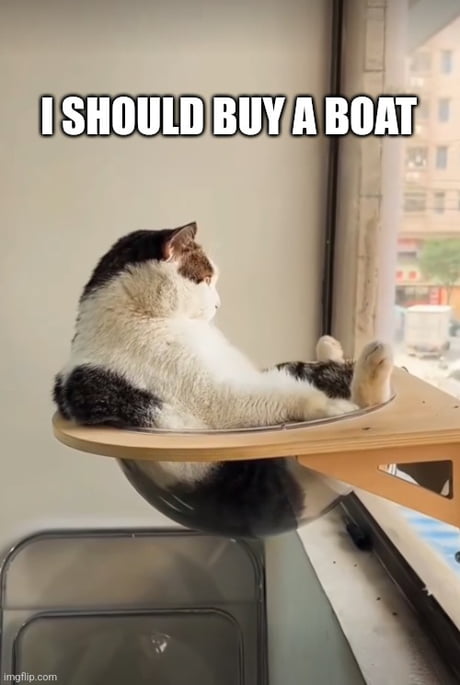 I Should Buy A Boat Cat Blank