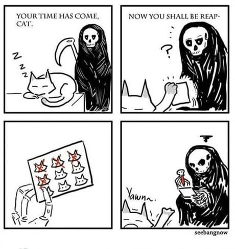 Best Funny death Memes - 9GAG